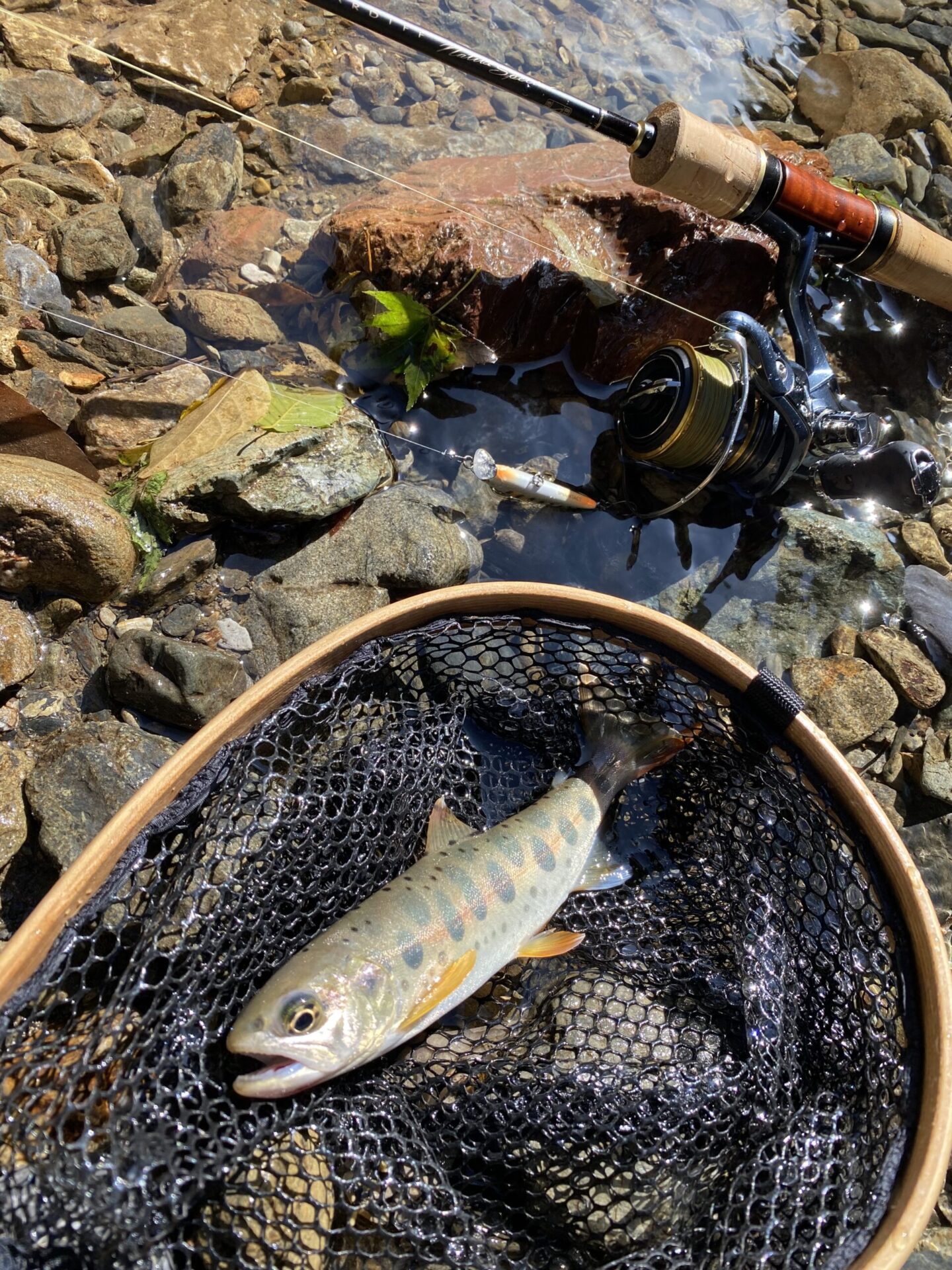 NARI FISHING 渓流ルアーでヤマメ、イワナ釣り | NARI.FISHING